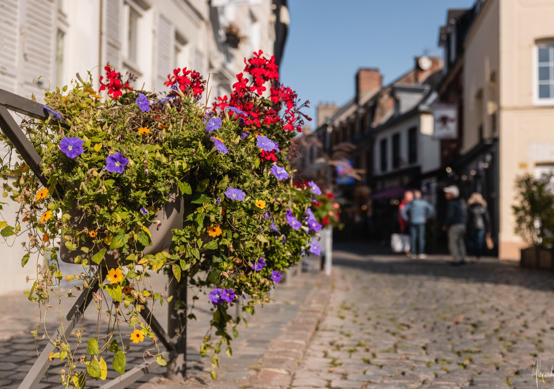 Ils sont venus à Saint-Valery | Saint-Valery-sur-Somme
